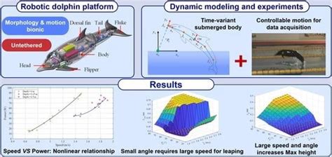 Quantifying The Leaping Motion Using A Self Propelled Bionic Robotic Dolphin Platform