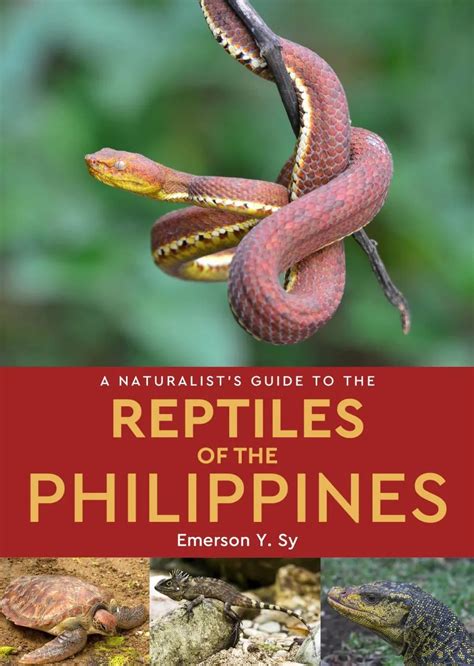 A Naturalists Guide To The Reptiles Of The Philippines Nokomis