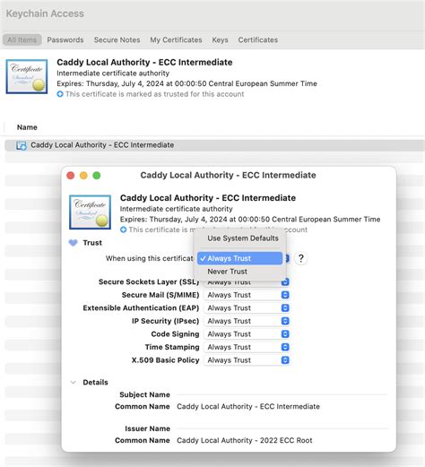 Trust Local Caddy Certificates On Macos · Technical Inconsistencies Blog