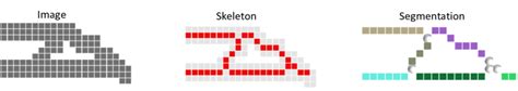 binary image skeleton of the image and segmentation of the skeleton