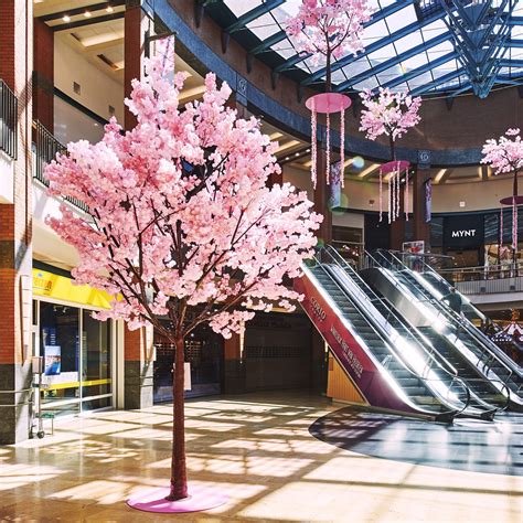 Cherry Tree Nara 3 M Nara Globall Concept