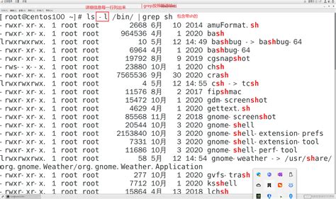 Linux实操篇 常用的基本命令1（跟文件操作相关的命令）linux执行文件命令 Csdn博客