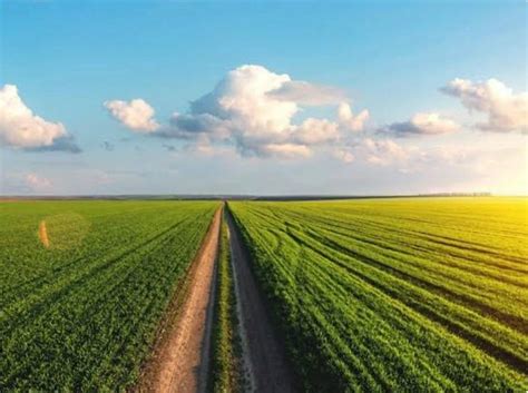 Gowsalya M On Linkedin Snsinstitutions Snsdesignthinking Snsdesignthinkers