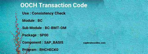 Ooch Sap Tcode For Consistency Check