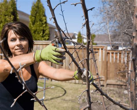 Word Up Nip It In The Bud Melius Solutions