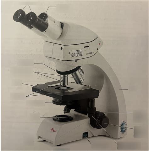 Microscope Final Diagram Quizlet