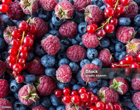 익은 블루베리 산딸기와 붉은 건포도입니다 딸기와 과일 믹스 최고의 볼 수 있습니다 딸기 배경 다양 한 신선한 여름 과일입니다