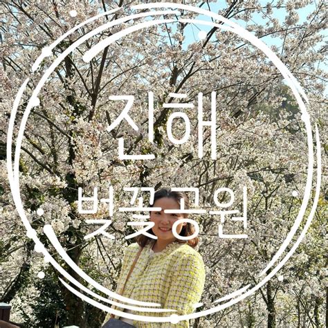 진해군항제 숨은 벚꽃명소 벚꽃공원 네이버 블로그