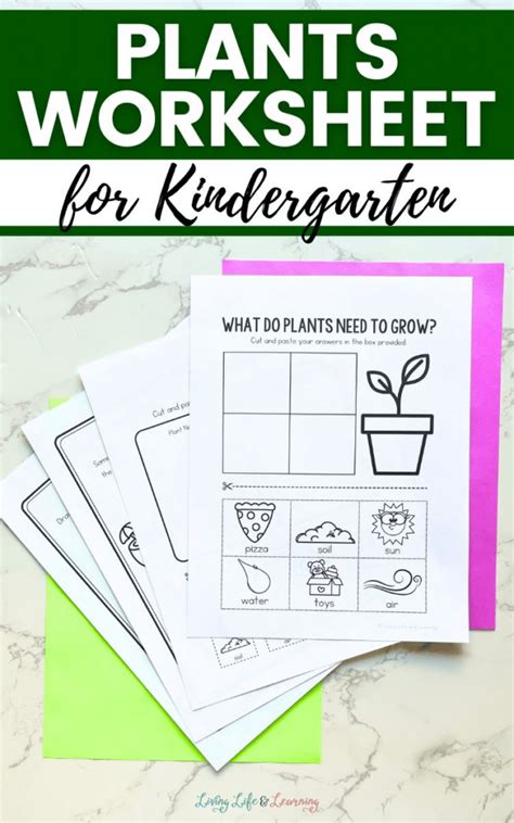 Kindergarten Plant Worksheets Free Homeschool Deals