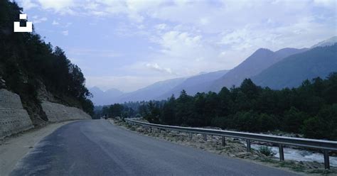 숲 옆 도로를 달리는 자동차 사진 Unsplash의 무료 마날리 이미지