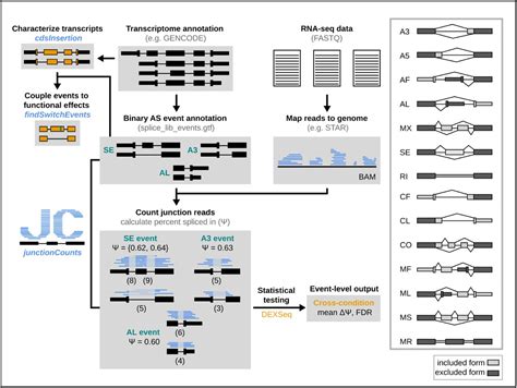 The Evolutionary Dynamics Of Alternative Splicing During Primate