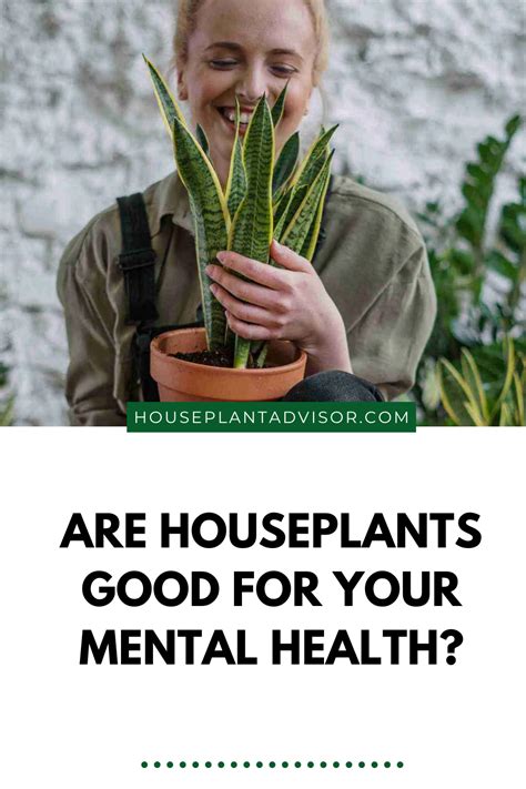 Are Houseplants Good For Your Mental Health Artofit