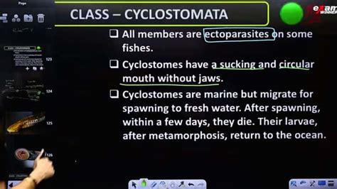 Cyclostomata