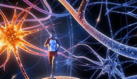 Biofisica Origen Clasificación E Importancia De La Ciencia Biológica