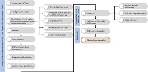 Flowchart And Workflow To Create An Automated Adipose Tissue Download Scientific Diagram