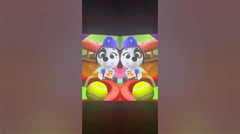 Pupstruction Bailey Puts Her Toys Away Affects Youtube