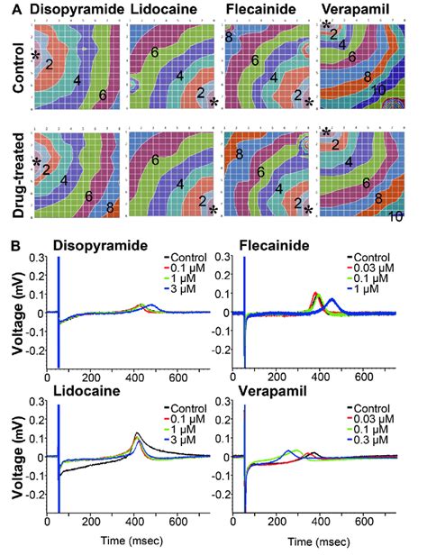 Representative Activation Maps And Field Potential Waveforms During Download Scientific Diagram