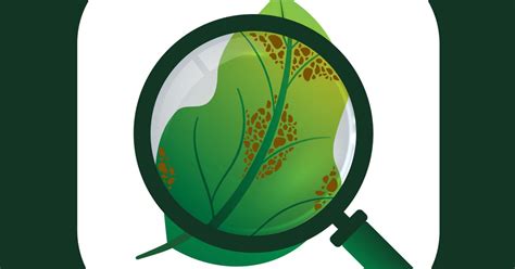 Plant Disease Detection With Unsupervised Learning Uc Berkeley School