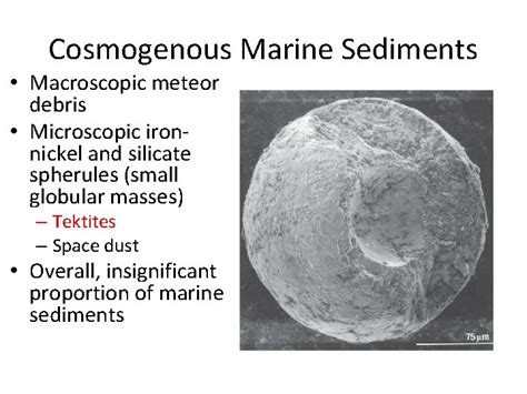 Chapter 4 Marine Sediment Classification A Shape Size