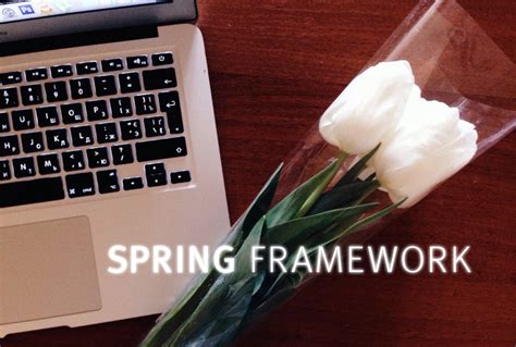 La Dolce Vita 스프링 프레임워크 Spring Framework 알아보기