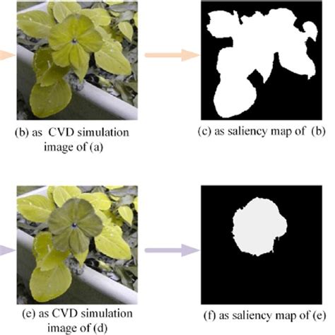 Some Examples Of Saliency Driven Image Correction For Protanopia Image Download Scientific