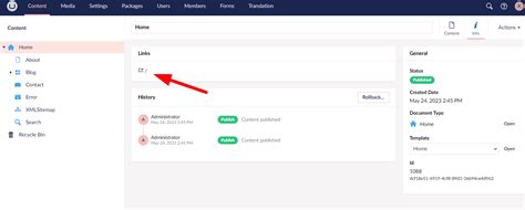 Content Delivery API Umbraco Delivery Api V1 Content Item Path Not