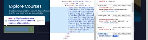 custom select theme `rounded` class ignored and overridden by global theme · issue 899