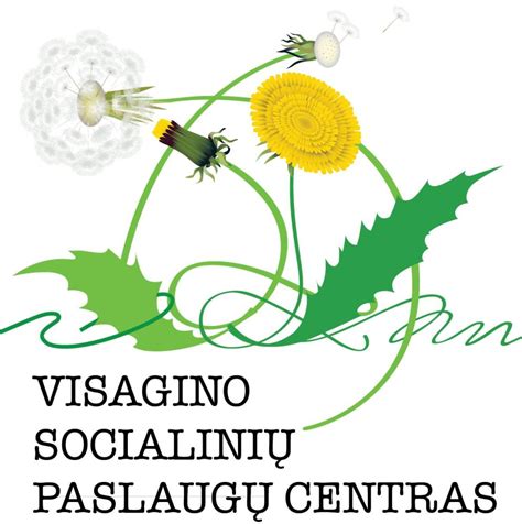 VSPC ieško individualios priežiūros darbuotojo os Visagino socialinių paslaugų centras