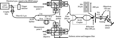 Figure 2 From Multipoint Raman Spectrometer Based On A Time Resolved Cmos Spad Sensor Semantic
