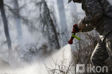 Улсын хэмжээнд 90 гаруй удаагийн ой хээрийн түймэр гарсныг унтраажээ
