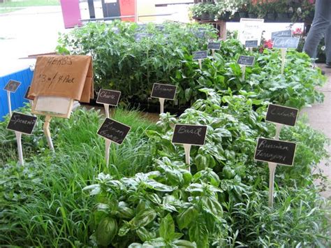 Aggregate Nutrient Density Index Or Andi Score The Guide