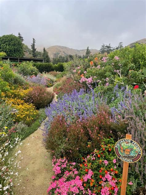 Film Otto And Sons Nursery