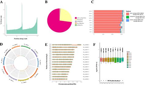 Identification Of Circrnas In Goat Impa And Ima A Sequencing Error