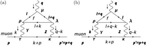 diagrams with fermion triangle loops connected to the muon line by a