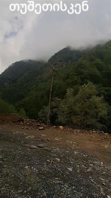 ჩემი მწვანე კუთხე ცისფერი მორიელი შვილებთან ერთად Facebook