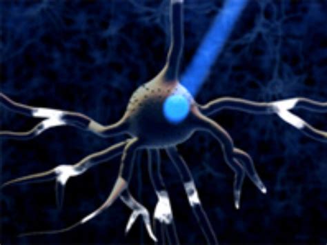 Chromeq Optogenetic Activation With Reduced Proton And Calcium