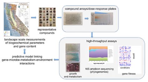 High Throughput Cultivation Pipelines Can Be Used To Evaluate Download Scientific Diagram