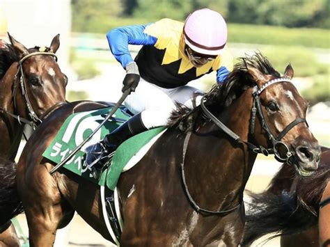 【京成杯ah】超良血ラインベック 母＆姉に続く重賞制覇なるか 競馬ニュース Netkeiba