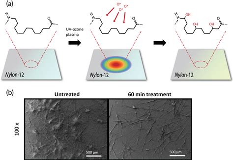 Surface Modification Of Balloon Catheters A Oxygen‐based Functional Download Scientific