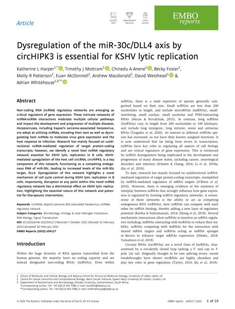 Pdf Dysregulation Of The Mir‐30cdll4 Axis By Circhipk3 Is Essential