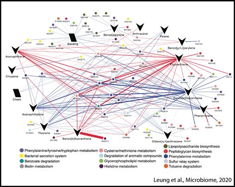 Environmental Microbiology And Biotechnology Laboratory