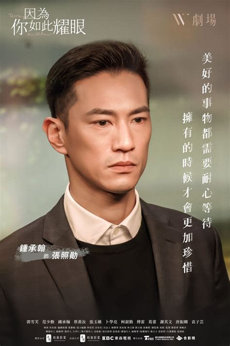 Zhang Zhao Xun W Series The Way You Shine Mydramalist