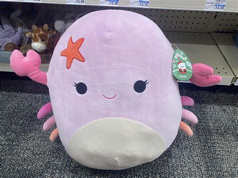 Found A Squish With The Wrong Tag Rsquishmallow