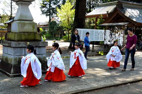 大宝八幡宮の神楽 蝙蝠の瞳