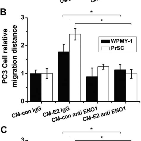 Protein Levels Of Stromal Eno1 Are Elevated In Prostate Cancer Ac