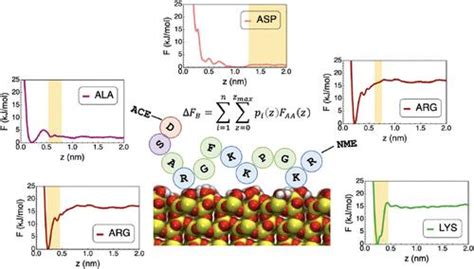 固体结合肽的高通量计算筛选 Journal Of Chemical Theory And Computation X Mol