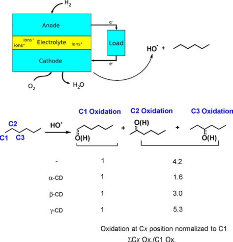 Controlling Selectivity In Aliphatic C−h Oxidation Through Supramolecular Recognition Vidal