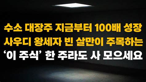 주식 수소 대장주 지금부터 100배 성장 사우디 왕세자 빈 살만이 주목하는 이 주식 한 주라도 사 모으세요 2차전지관련주 2차전지주식전망 엘앤에프에코프로