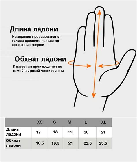 Определить размер члена по фото