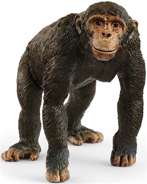 Schleich Chimpanzee Wholesale